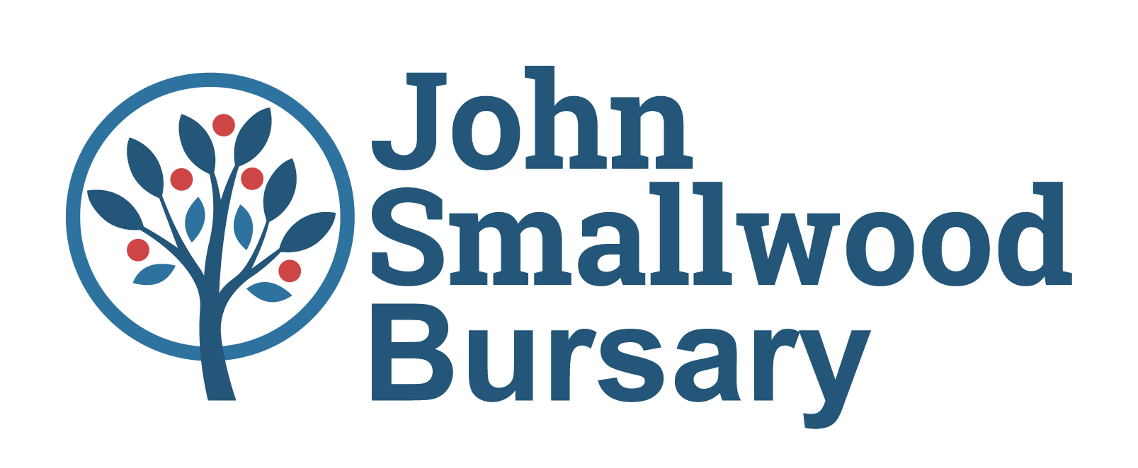 Bursaries and Scholarships | Virtual High School